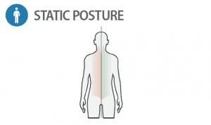 Functional Protocols - MyoMax Performance